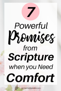 Seven Powerful Scriptures When you Need Comfort