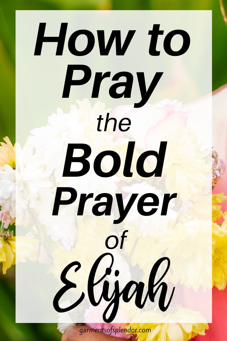 Five Powerful Lessons we Can Learn from Elijah’s Prayer (With Free ...