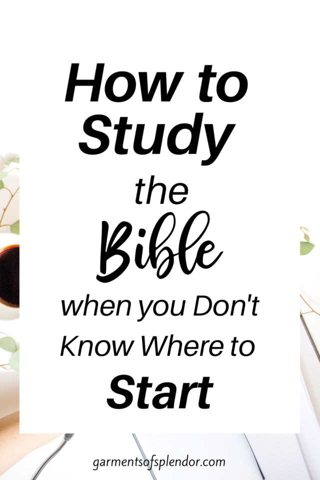 How to Study the Bible for Beginners: The Ultimate Guide