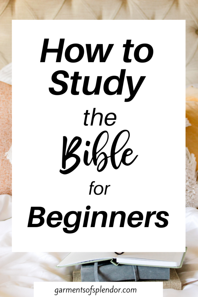 How to Study the Bible for Beginners: The Ultimate Guide