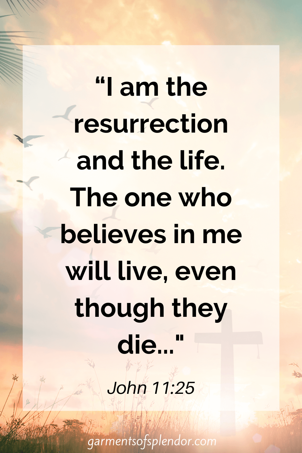 How to Use the 'I Am' Statements of Jesus in your Prayers