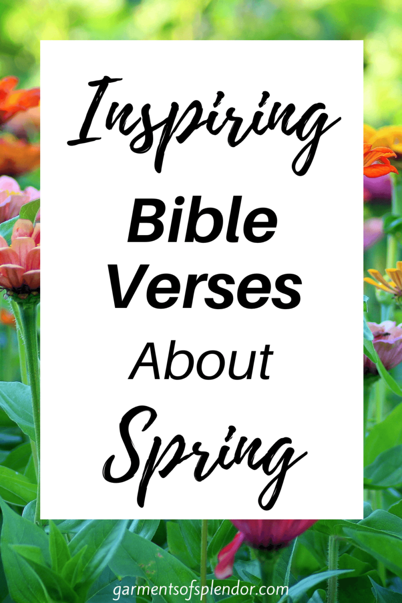 Hope-filled Bible Verses About Spring (with Free Printables)