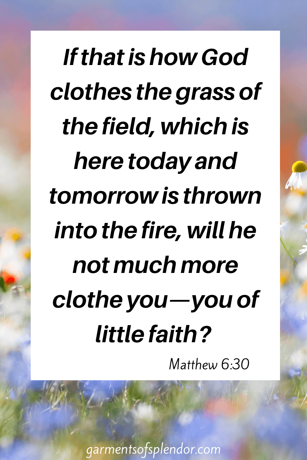 38 Encouraging Bible Verses About Flowers (with Free Printable)