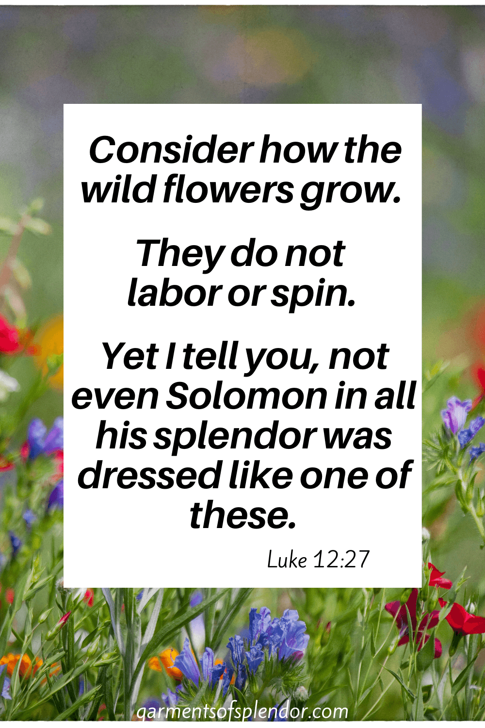 38 Encouraging Bible Verses About Flowers (with Free Printable)