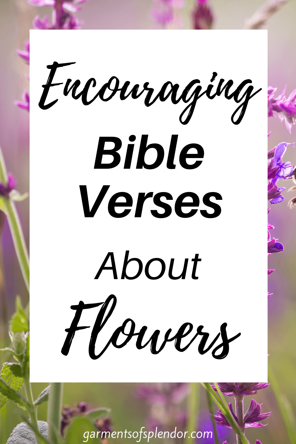 38 Encouraging Bible Verses About Flowers (with Free Printable)