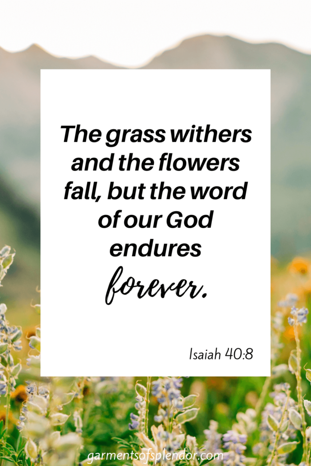 38 Encouraging Bible Verses About Flowers (with Free Printable)