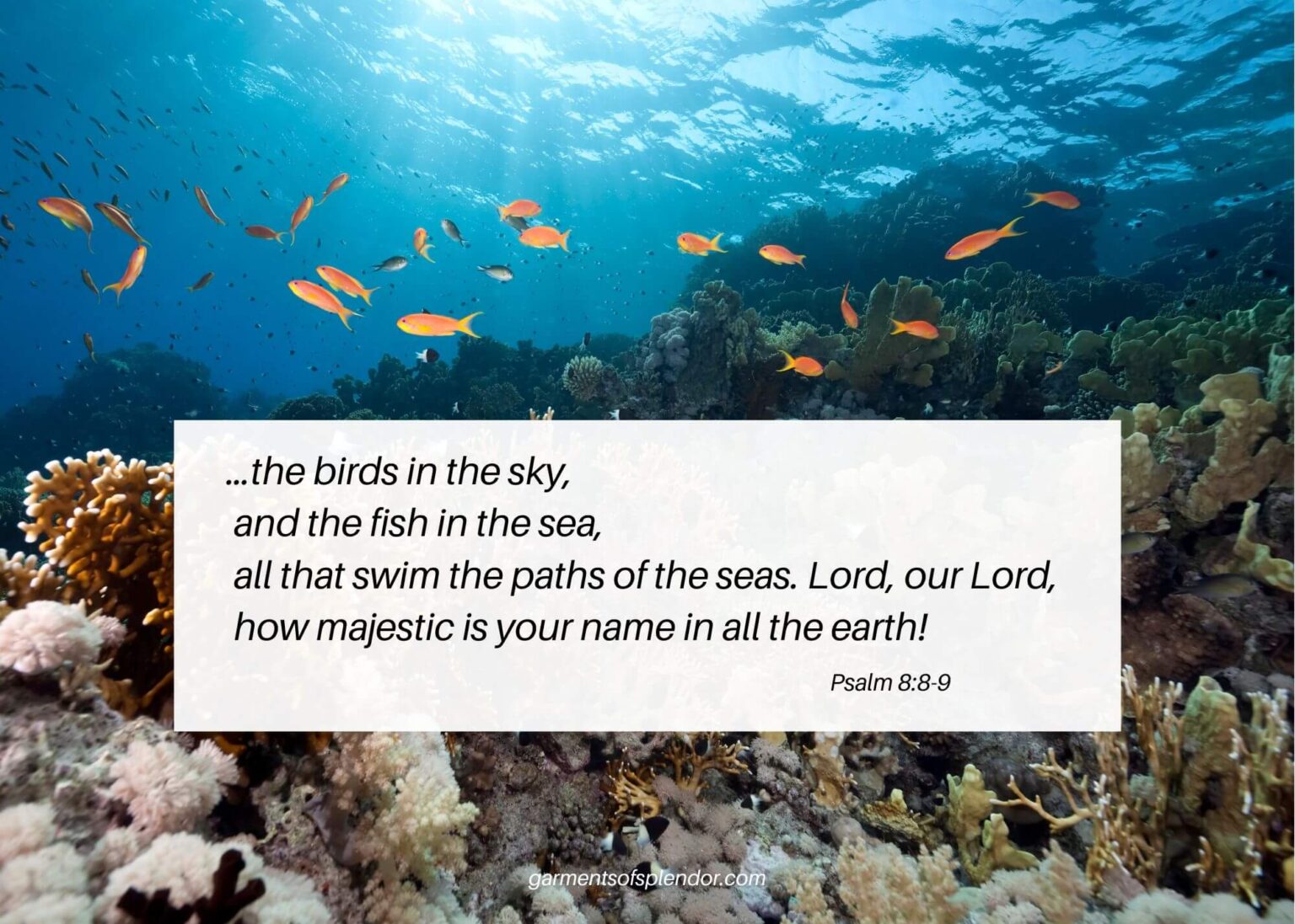 38 Powerful Bible Verses about the Ocean (with Free Printable)