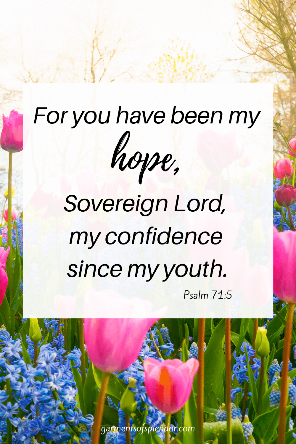 60 Encouraging Bible Verses for Women (with Free Scripture Cards)