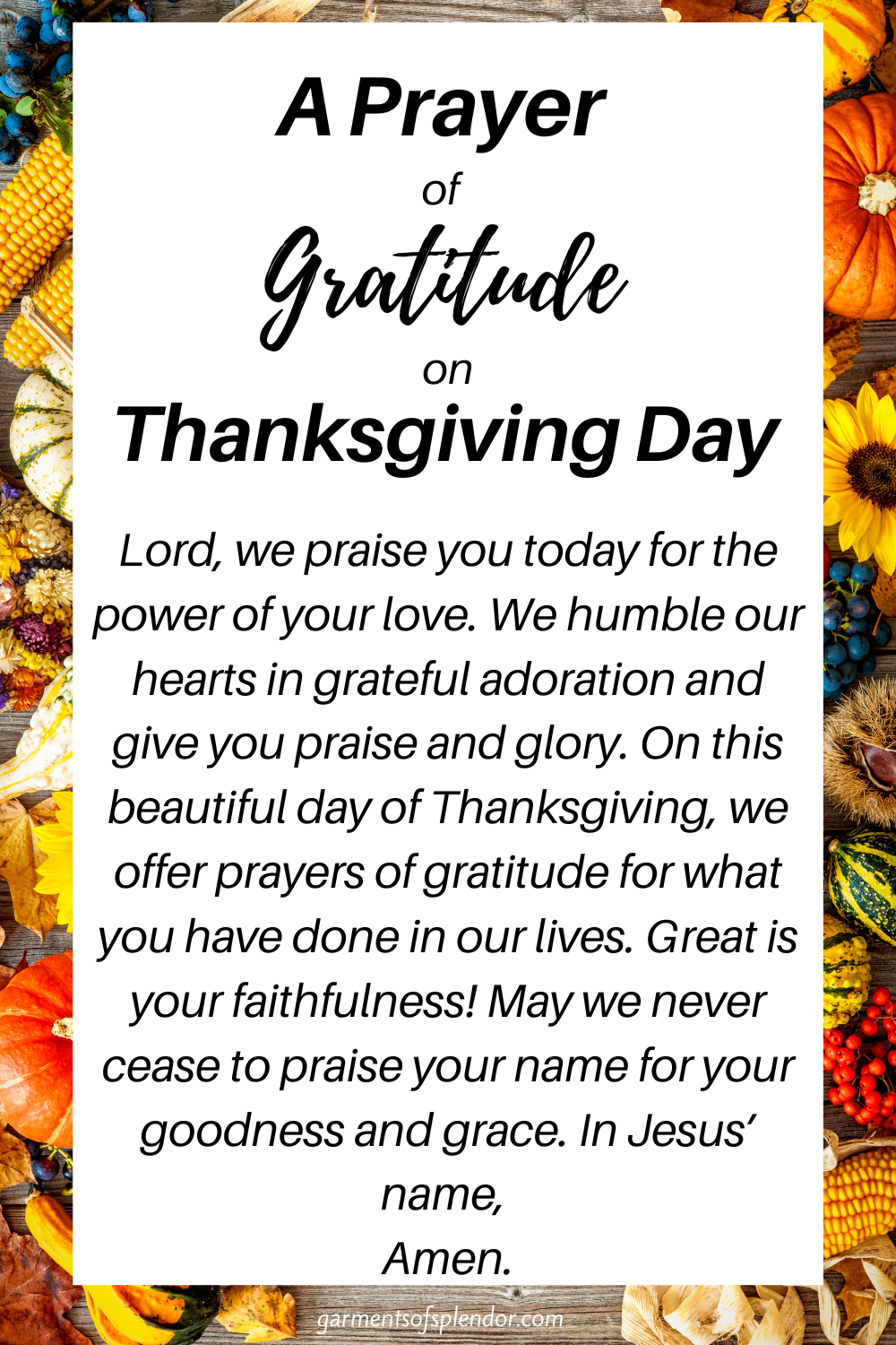 17 Powerful Prayers of Gratitude (with Free Bible Study)