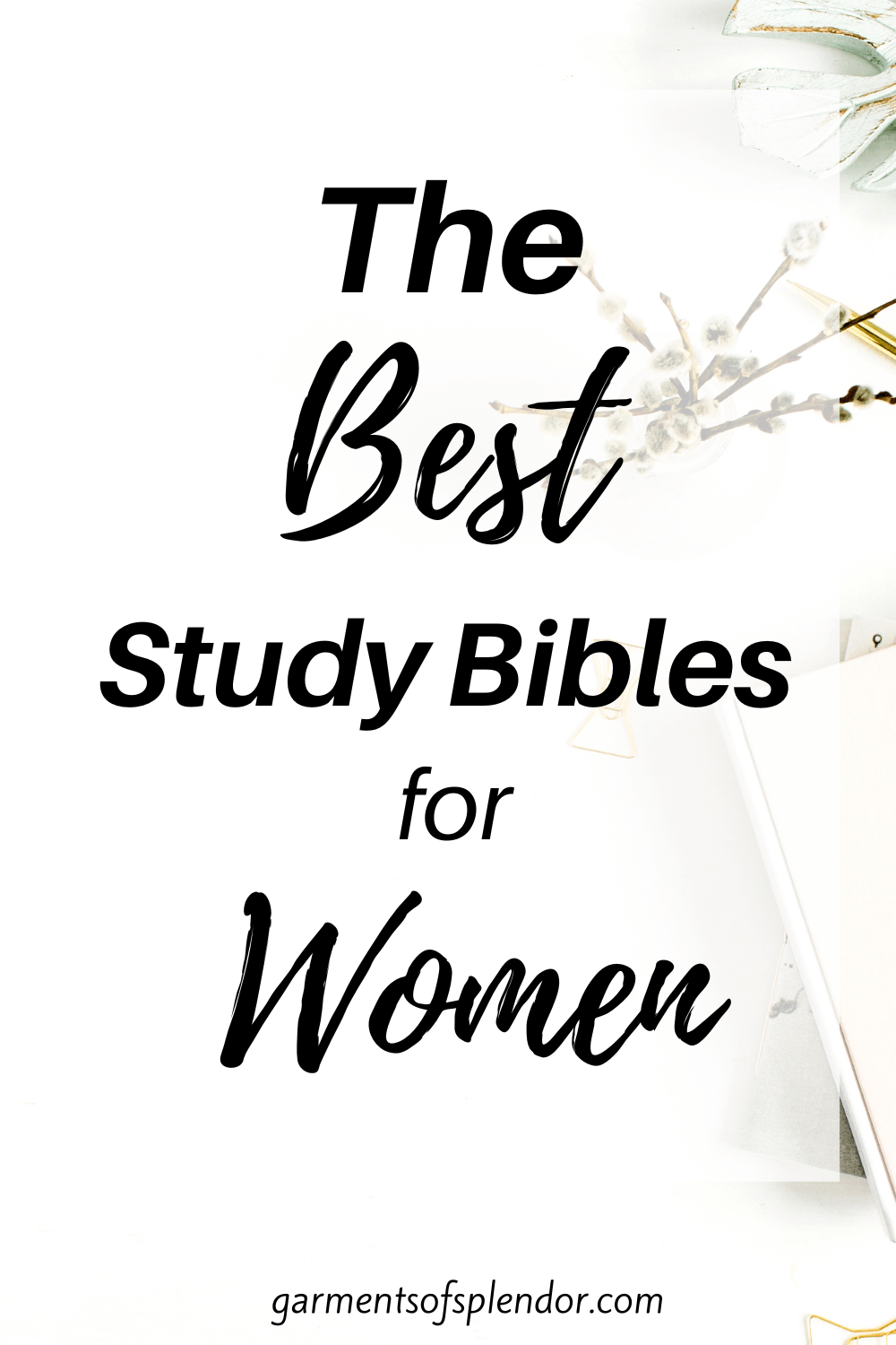 The Best Study Bibles for Women to Deepen your Faith