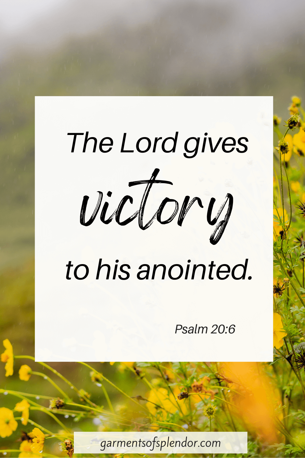 Praying with Victory Bible Study Insights (Plus 25 Powerful Bible ...